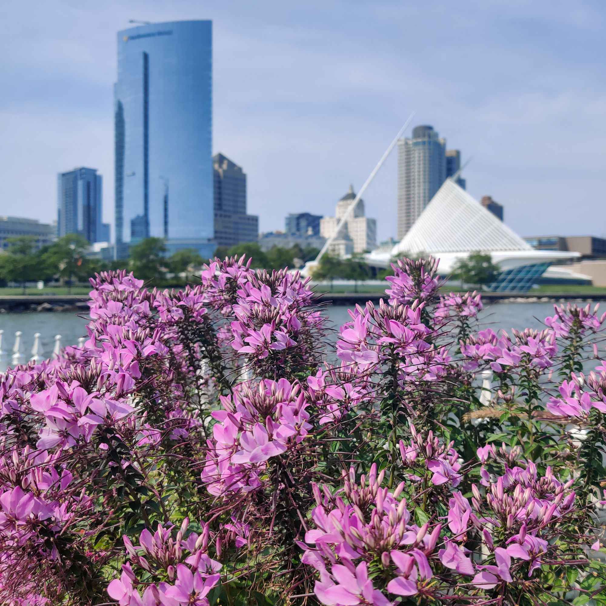 Milwaukee Gallery – Focus MKE